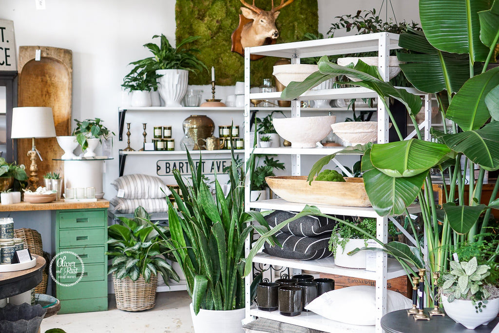 End of summer Oliver and Rust shop tour