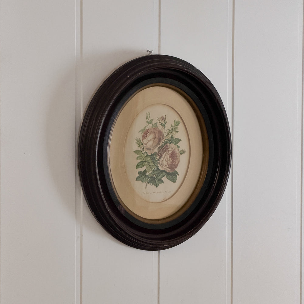 Vintage oval Rose print etching wood frame. – Oliver and Rust