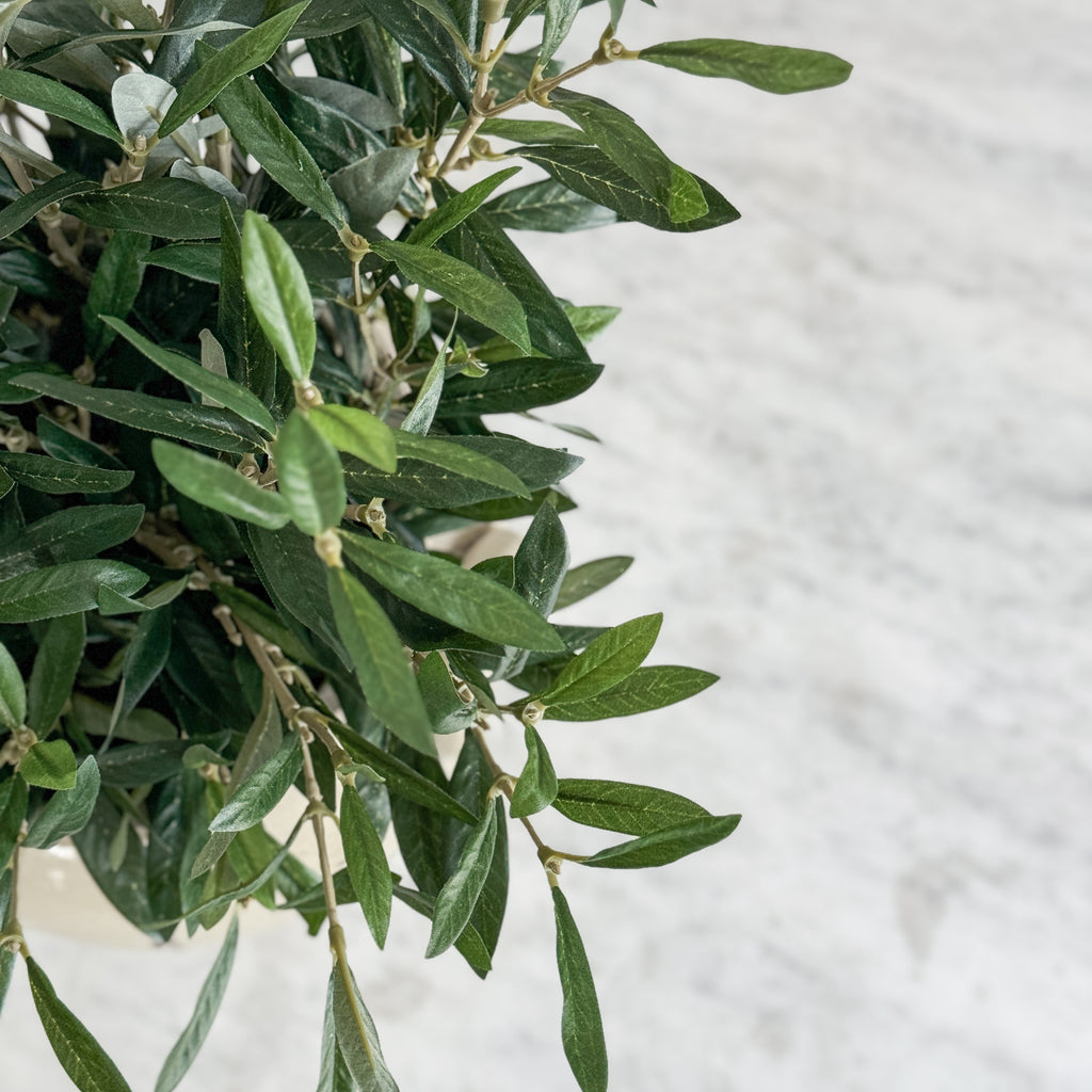 Faux Dark Green Olive Branch Stem. – Oliver and Rust