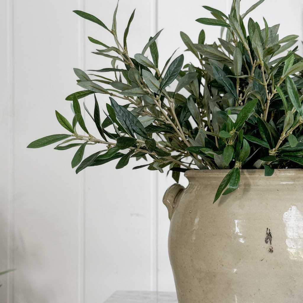 Faux Dark Green Olive Branch Stem. – Oliver and Rust